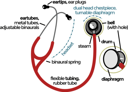 Parts of the stethoscope - Stethoscope tags